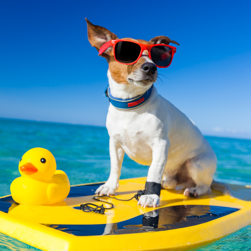 Best Sellers – Jantre Living